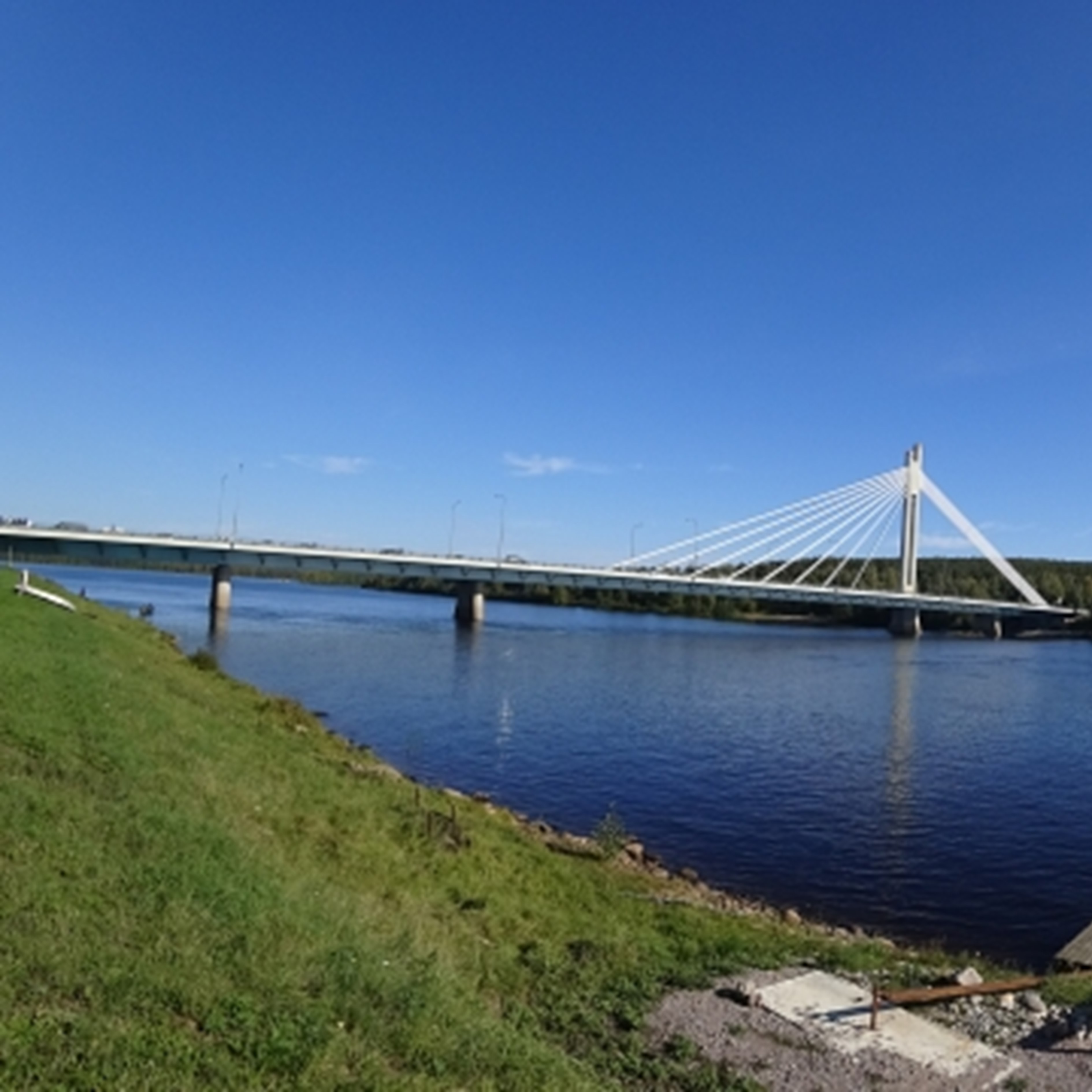 X連鎖性ミオチュブラーミオパチーに対する遺伝子治療薬AT132の人工呼吸器への依存および運動機能の改善と安全性に関するデータが医学専門誌に掲載 | RareS.(レアズ)