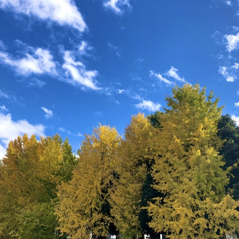 【米】パーキンソン病治療薬候補品ND0612、承認再申請を米FDAが受理 | RareS.(レアズ)